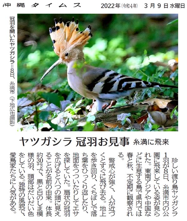 Ecosystem Changes Observed in Okinawa in 2021 Part-2 | EM Research ...